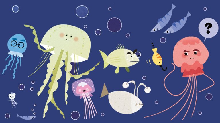 Jeux en anglais : les méduses - I Love English